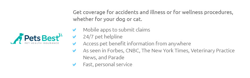 Pet Health Insurance Wellness Plan 🐶 Feb 2025
